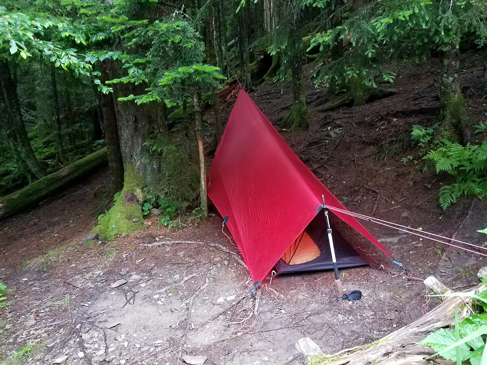 Hilleberg Mesh Tent 1 Reviews Trailspace
