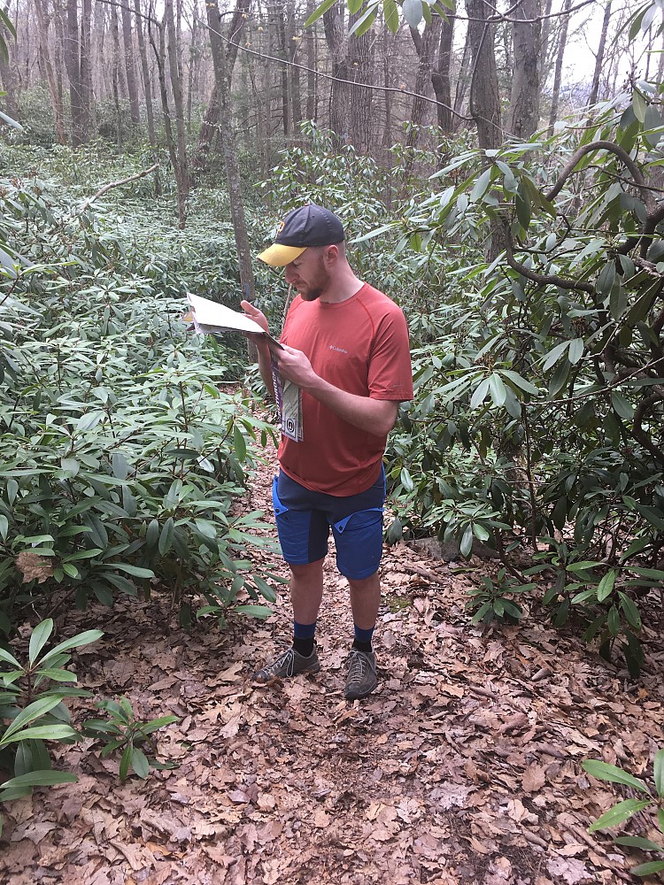 Purple Lizard Maps Rothrock State Forest Trail Map Reviews - Trailspace