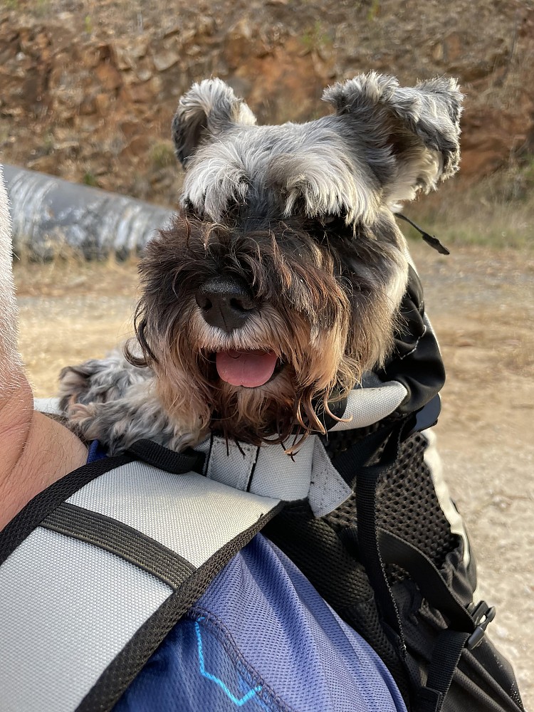 K9 Sport Sack Plus 2 Reviews - Trailspace