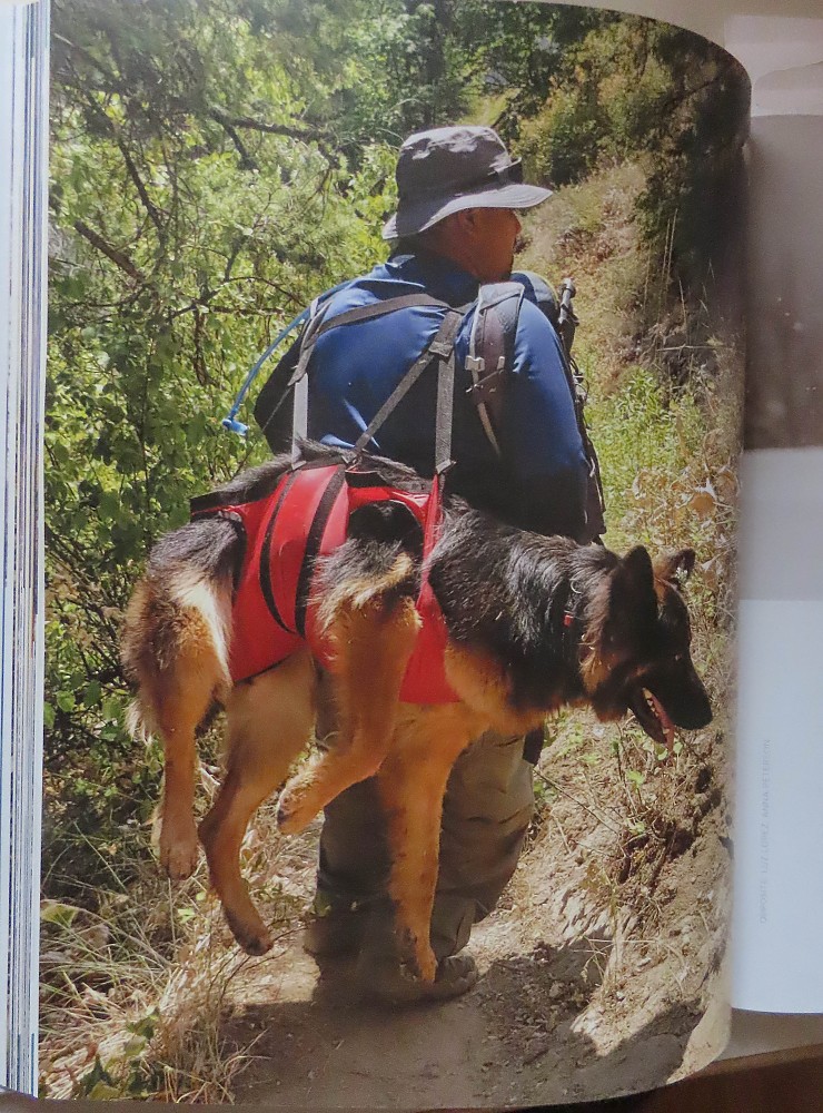 Falcon Guides The Essential Guide to Hiking with Dogs Reviews - Trailspace