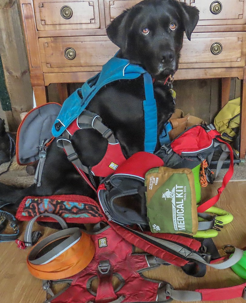 Ruffwear Haul Bag Reviews - Trailspace