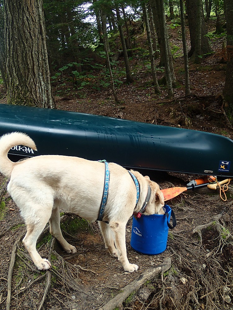 L.L.Bean Packable Bucket Reviews - Trailspace