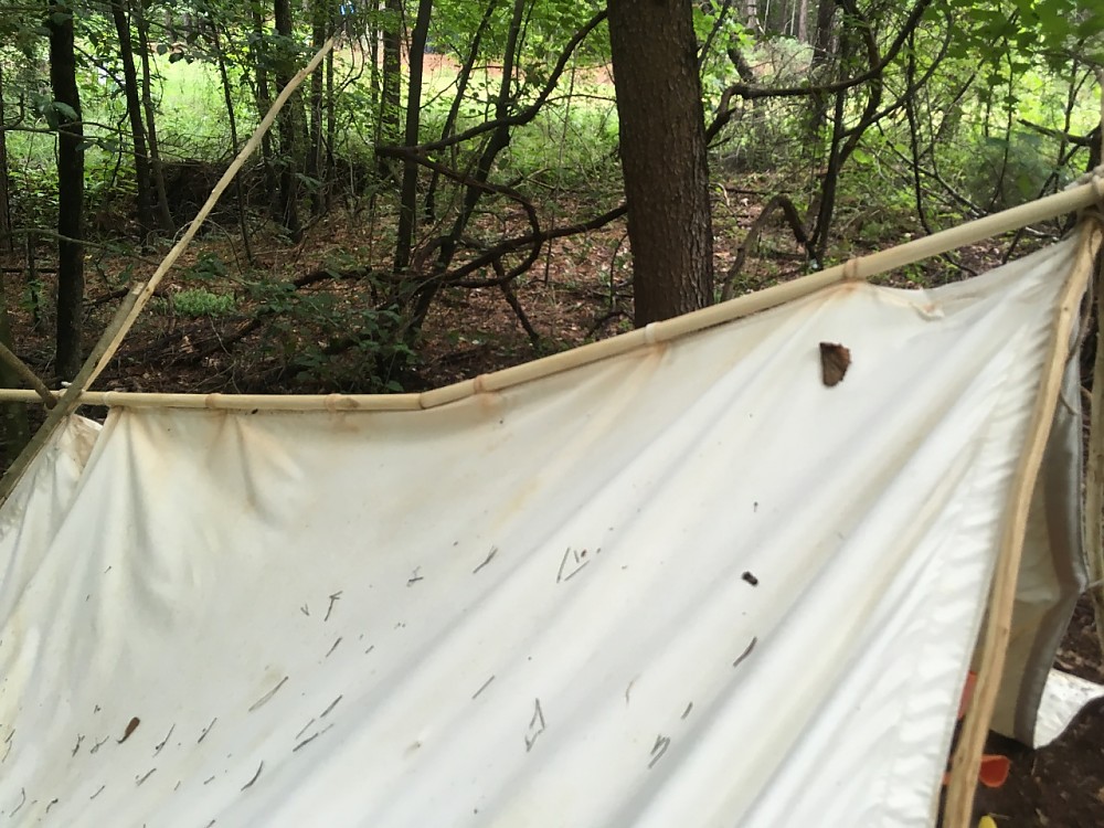 Tentsmiths Forester Tent Reviews - Trailspace