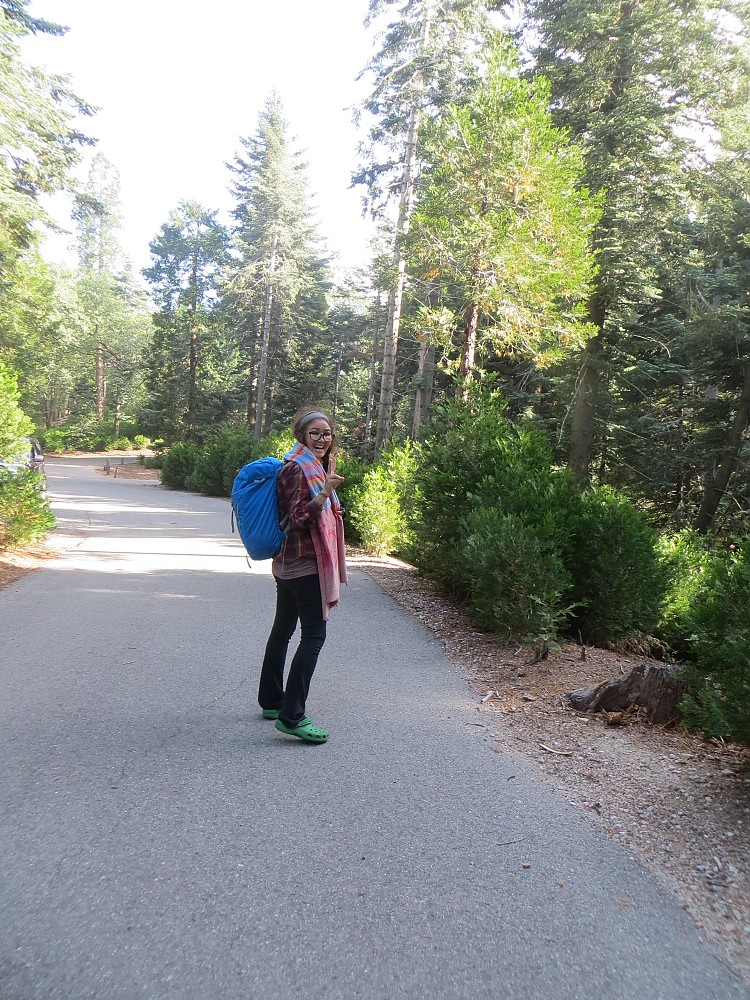 Ozark Trail Atka 28L Reviews - Trailspace