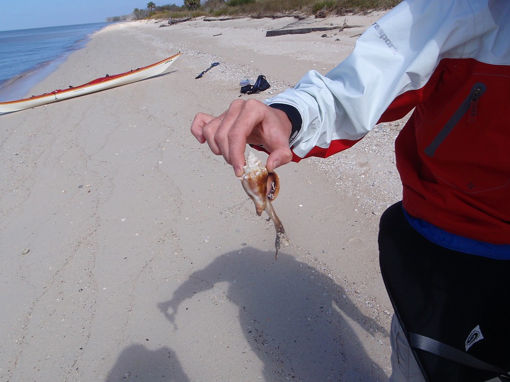 Extrasport Splash Top - Short Sleeve Reviews - Trailspace