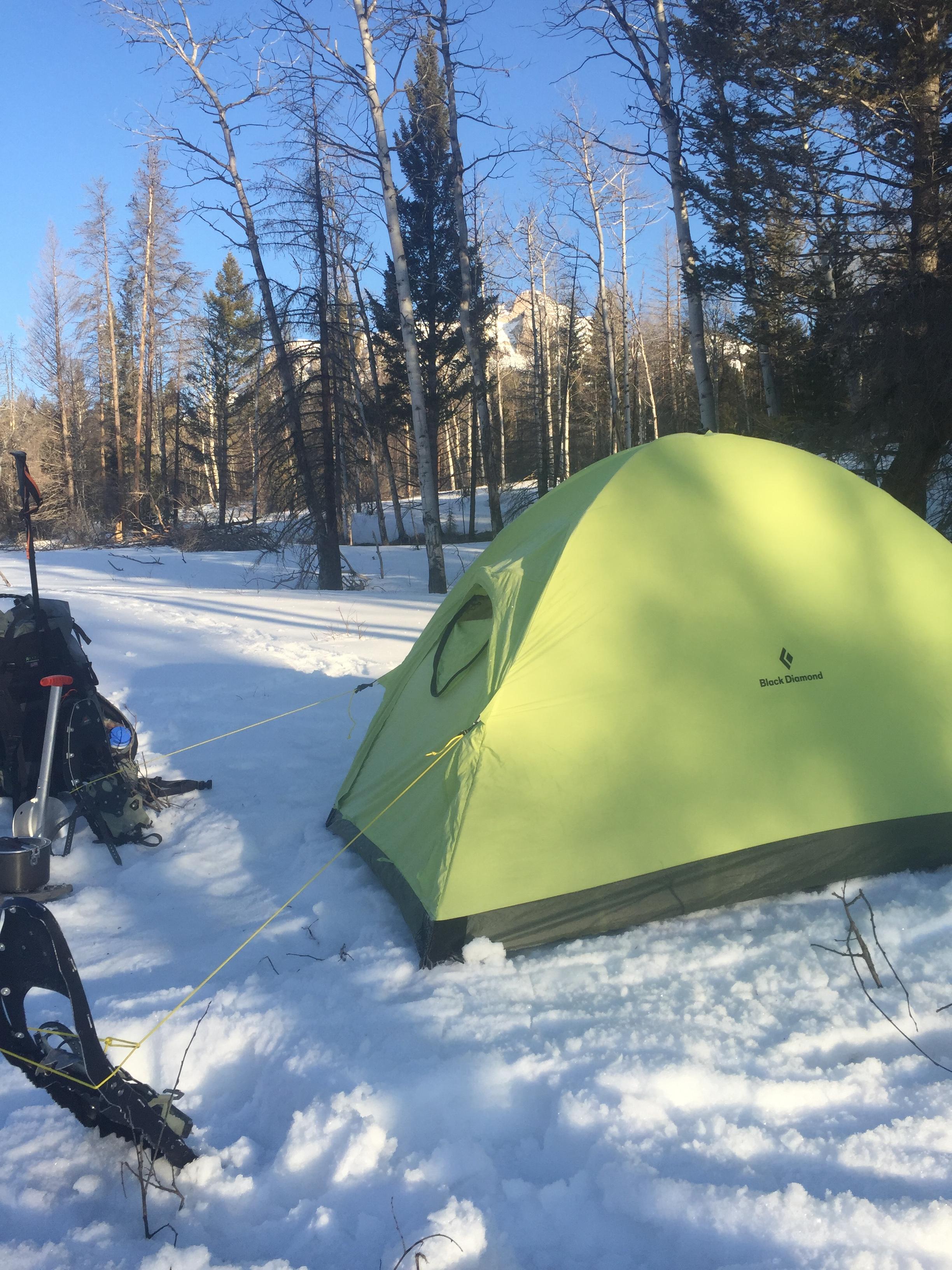 Black Diamond Firstlight 2P Reviews - Trailspace