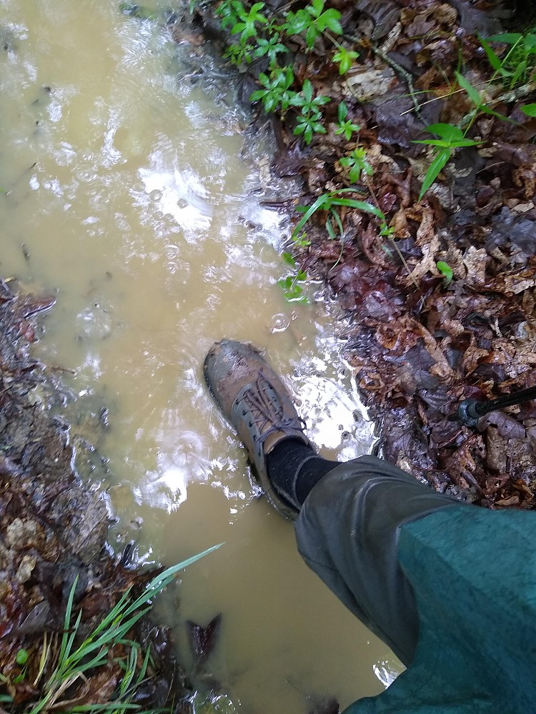 Merrell Altalight Waterproof Reviews - Trailspace