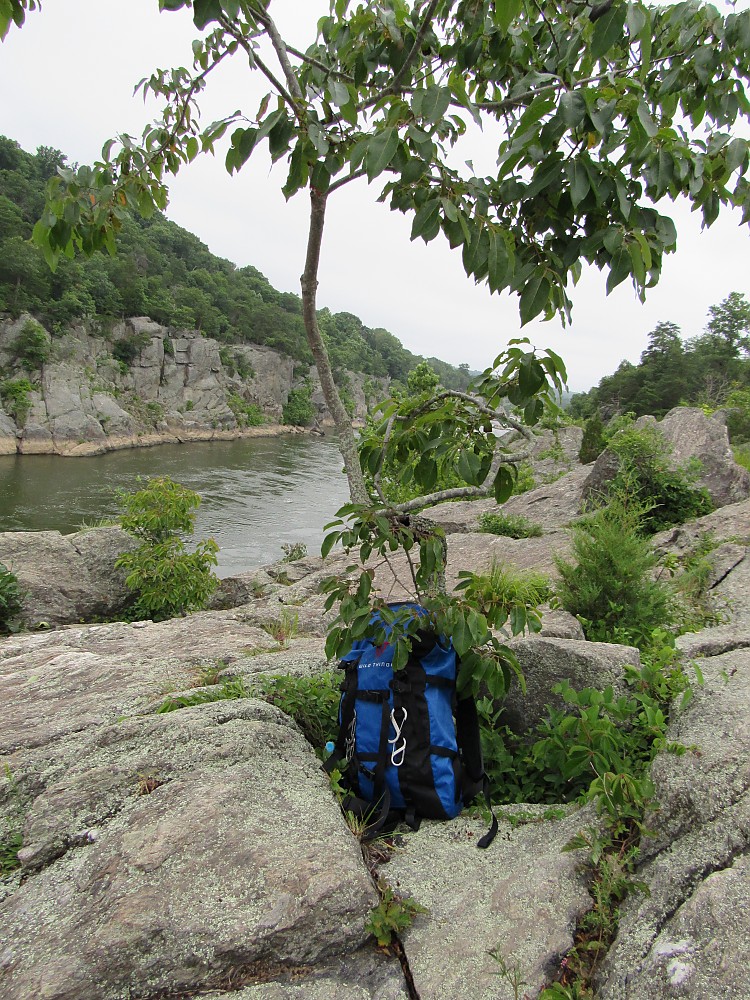 Wild Things Guide Pack Reviews - Trailspace