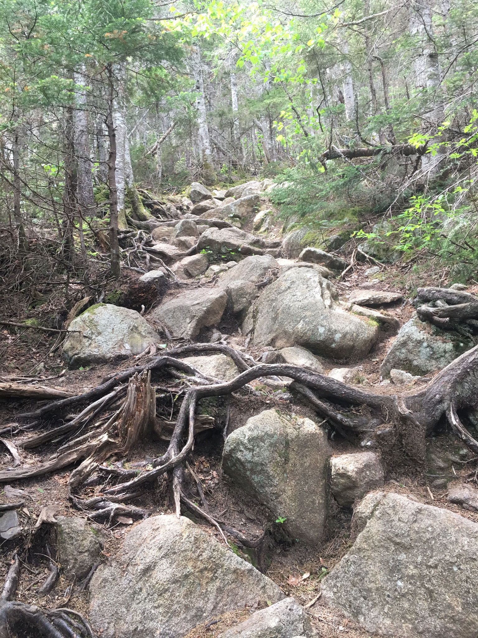 I’m 46. Time to start the 46 ADK High Peaks > General Outdoor ...