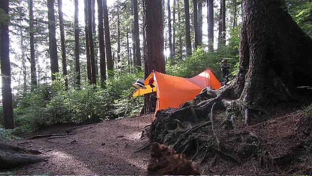 MSR Missing Link Reviews - Trailspace