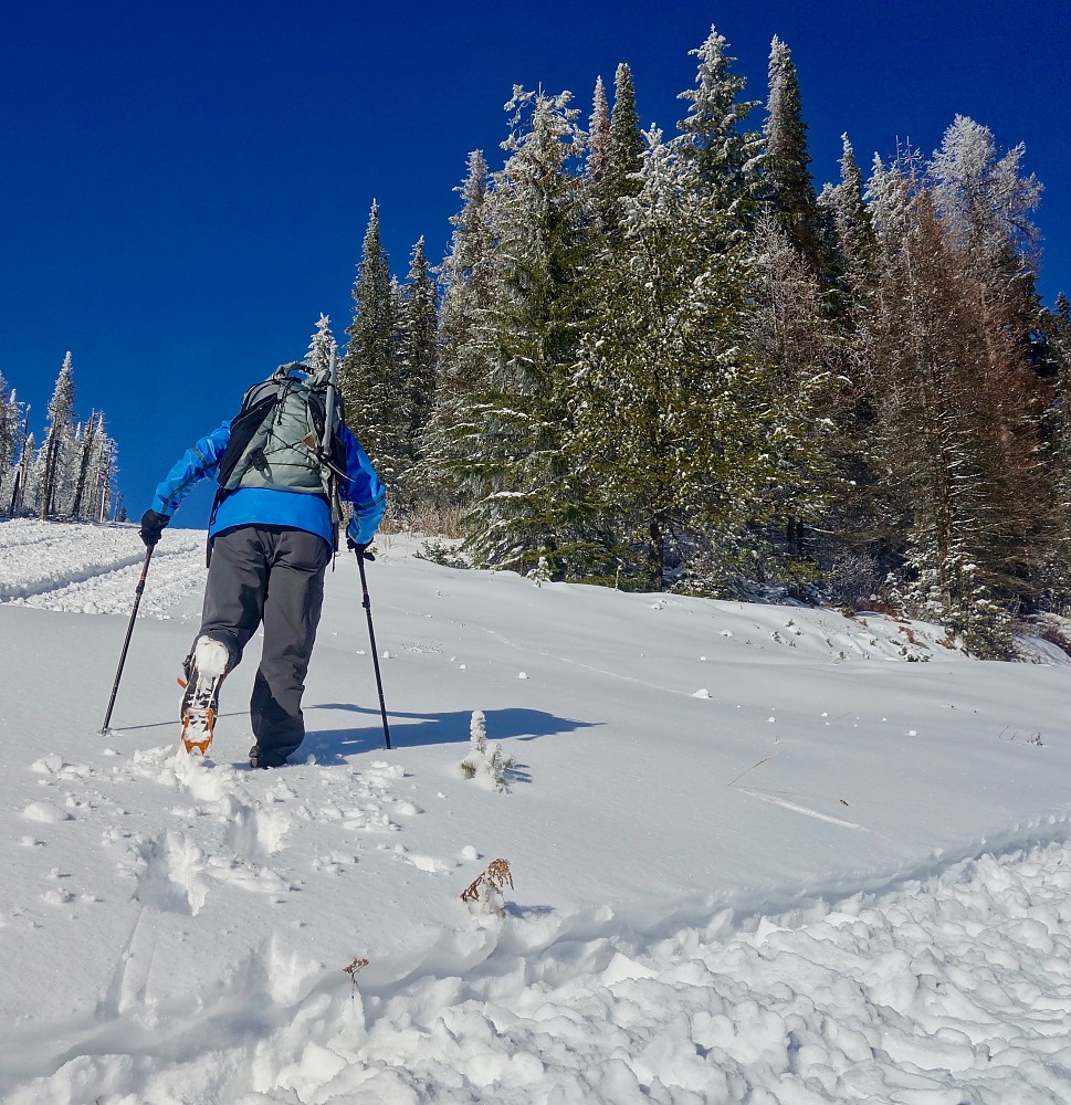 Petzl Leopard FL Reviews - Trailspace