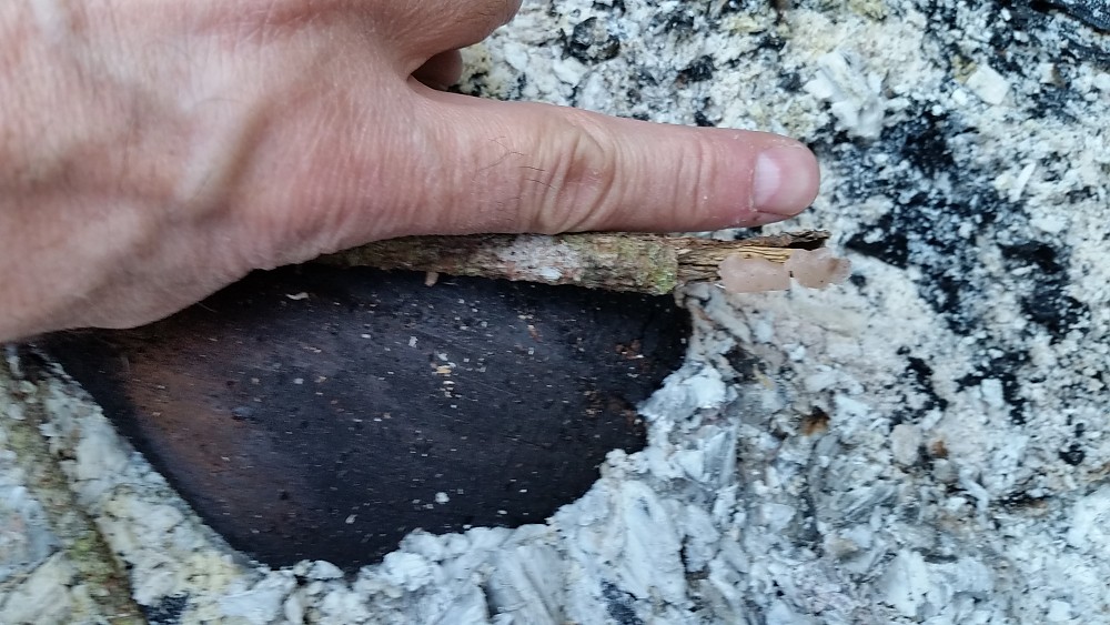 Coghlan's Fire Paste Reviews - Trailspace