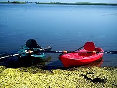 Wilderness Systems Ripper Reviews - Trailspace